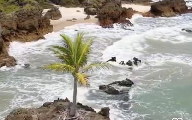 Vídeo: mídia nacional destaca belezas naturais da praia de Tambaba, na ...
